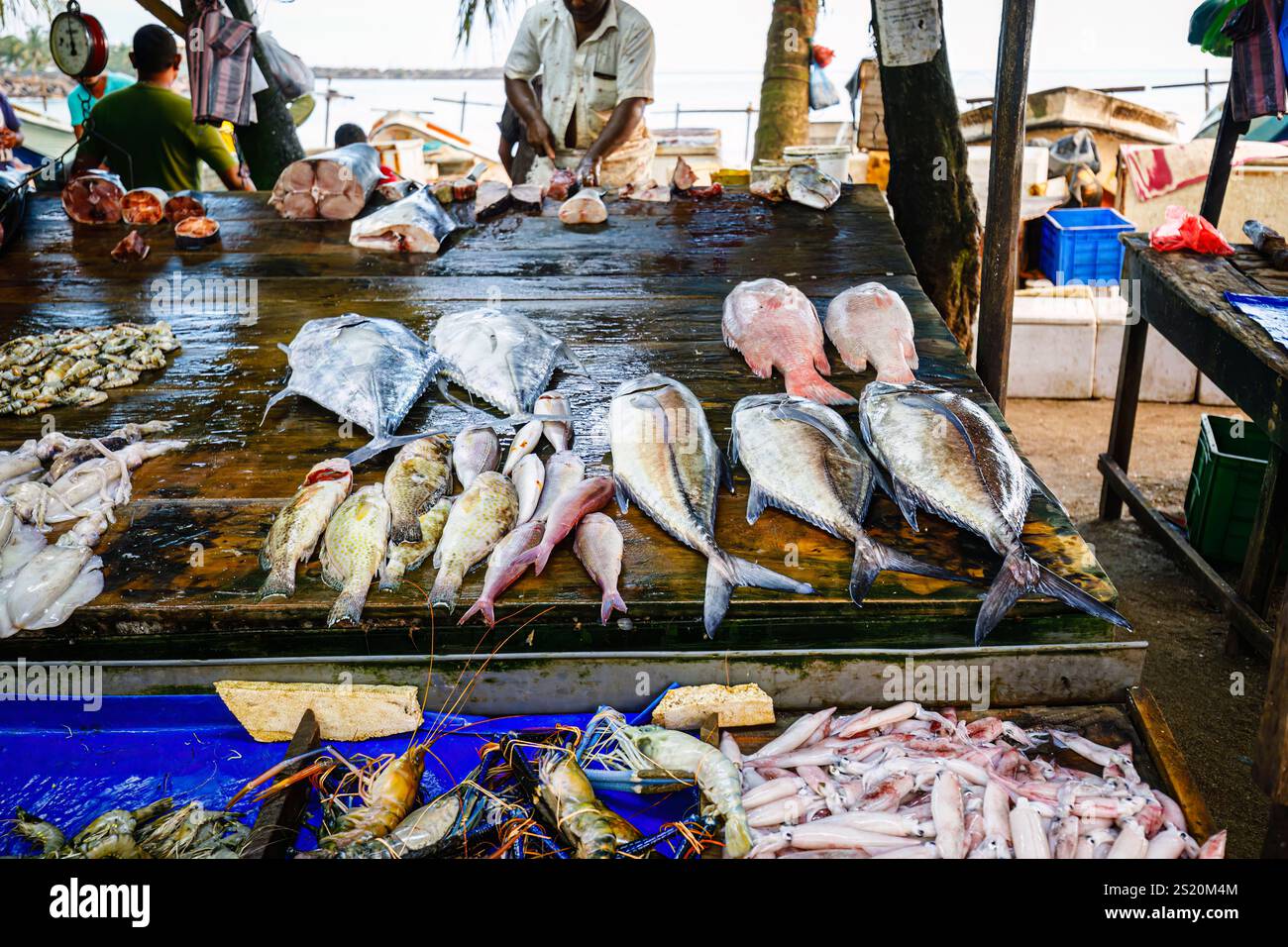 Roadside beach fish market stall selling freshly caught fish, crab ...