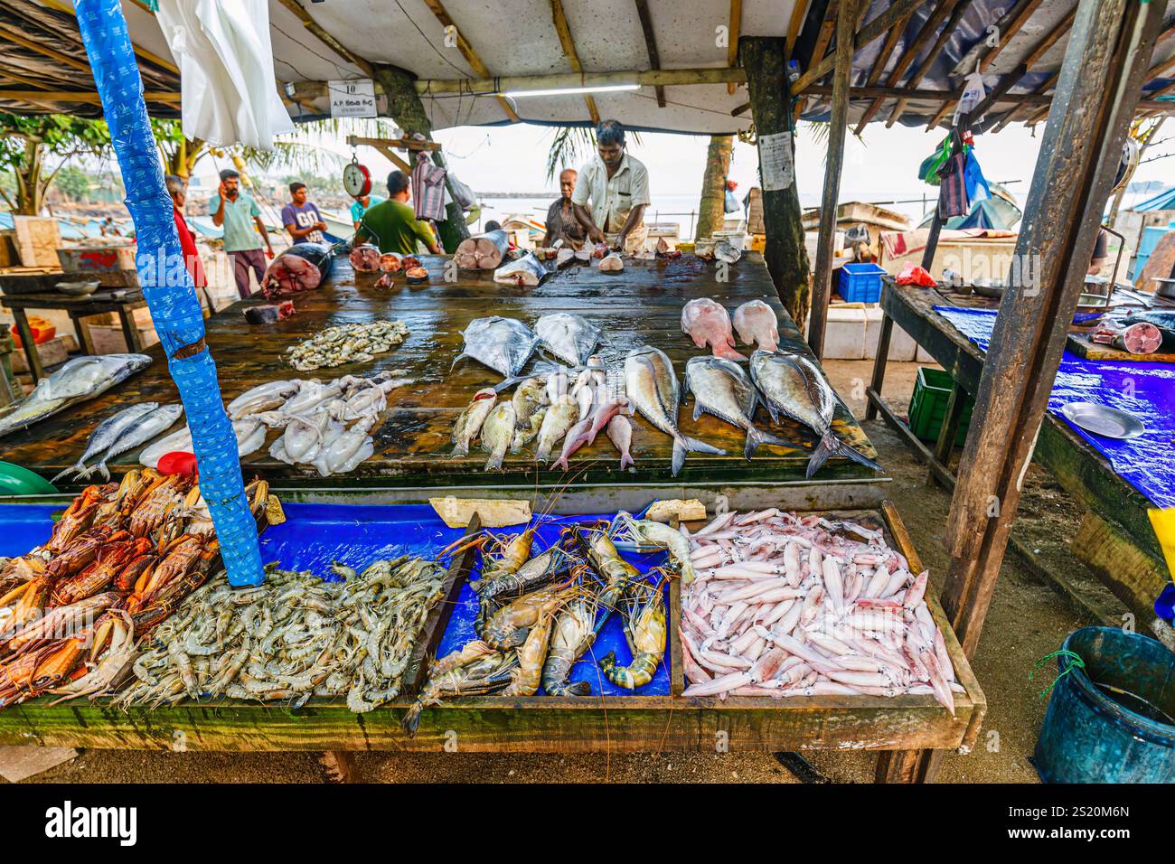Roadside beach fish market stall selling freshly caught fish, crab, lobster and other seafood ...