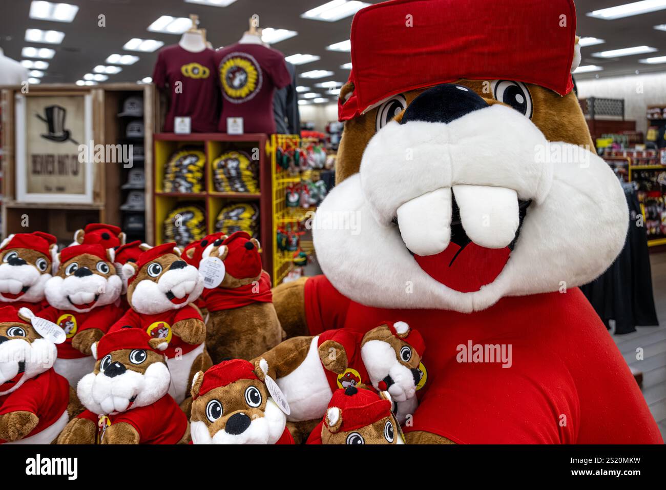 Buc-ees beaver merchandise at the Buc-ees interstate travel center in ...