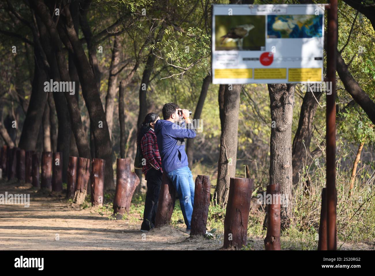 GURUGRAM, INDIA - JANUARY 5: Bird lovers arrive at Sultanpur National ...