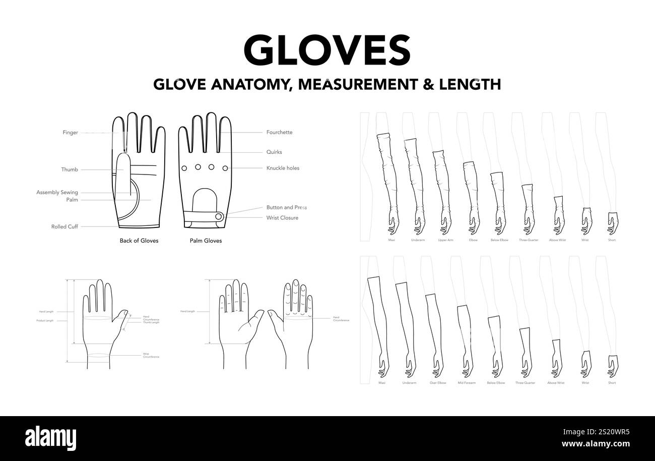 Set of Gloves details - Measurement, Length, anatomy technical fashion ...