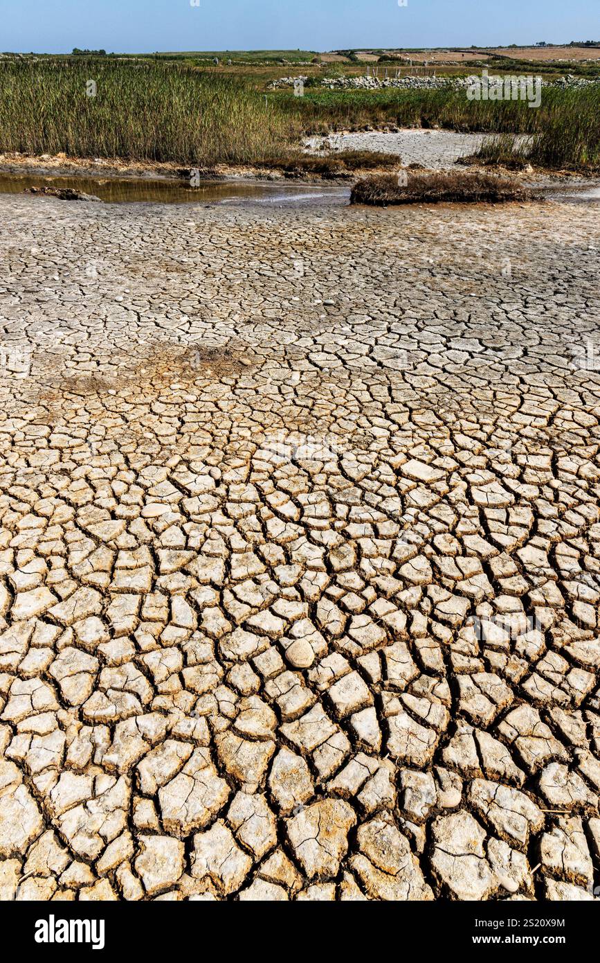 Dried mud in salt flats, Goury, Normandy, France Stock Photo - Alamy