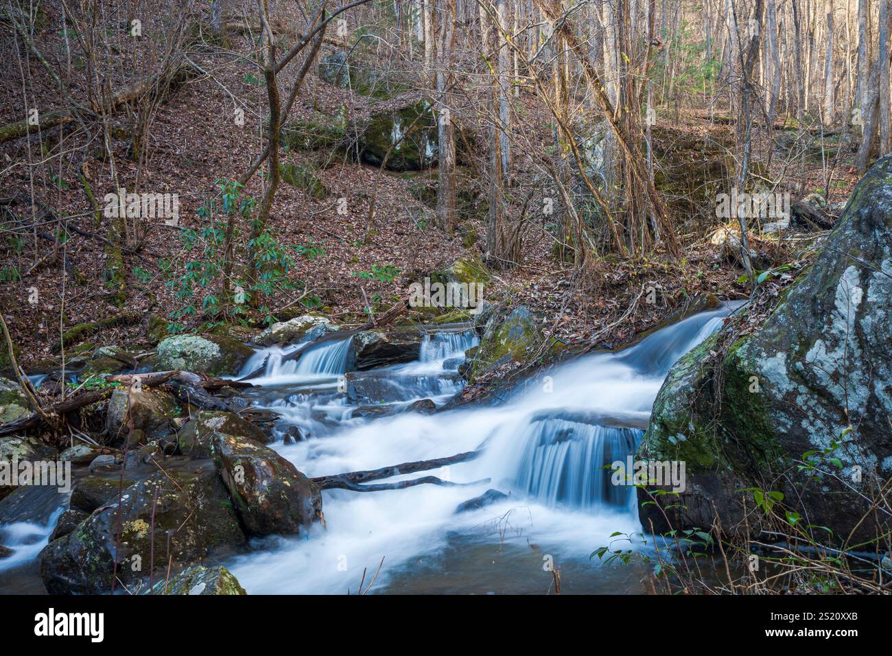 Panoramic view of Anna Ruby Falls in Unicoi state park in Helen, GA ...