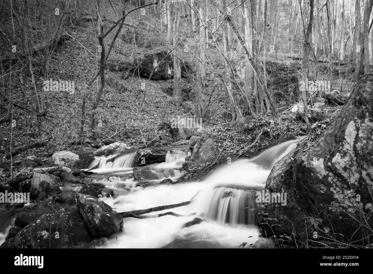 Panoramic view of Anna Ruby Falls in Unicoi state park in Helen, GA ...