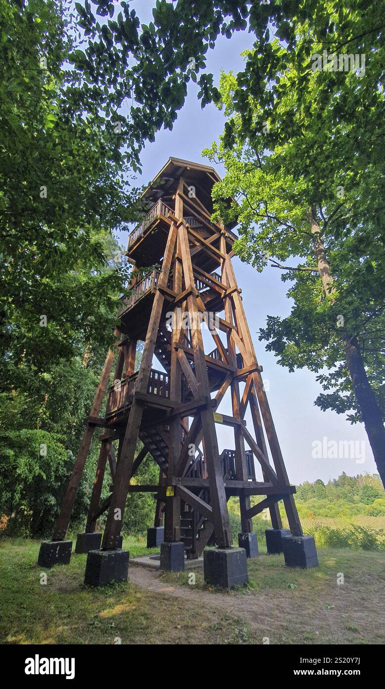 High wooden observation tower in front of a sunny sky, surrounded by ...