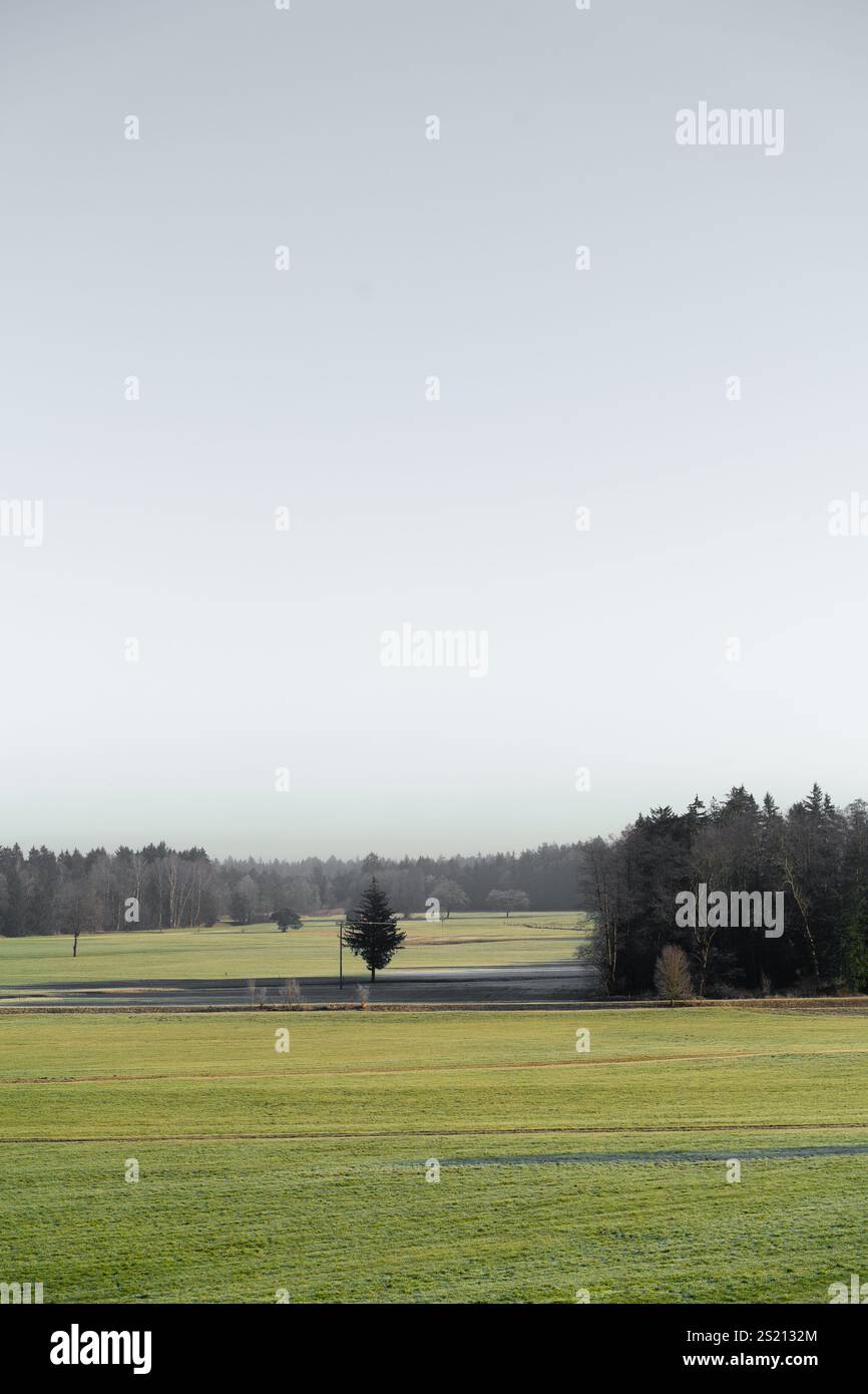 A serene rural landscape featuring a frosty open field, sparse trees, and a dense forest under a ...