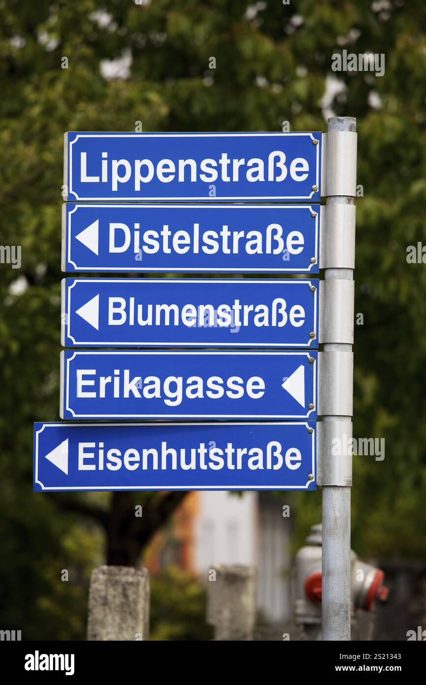 Street names hi-res stock photography and images - Alamy