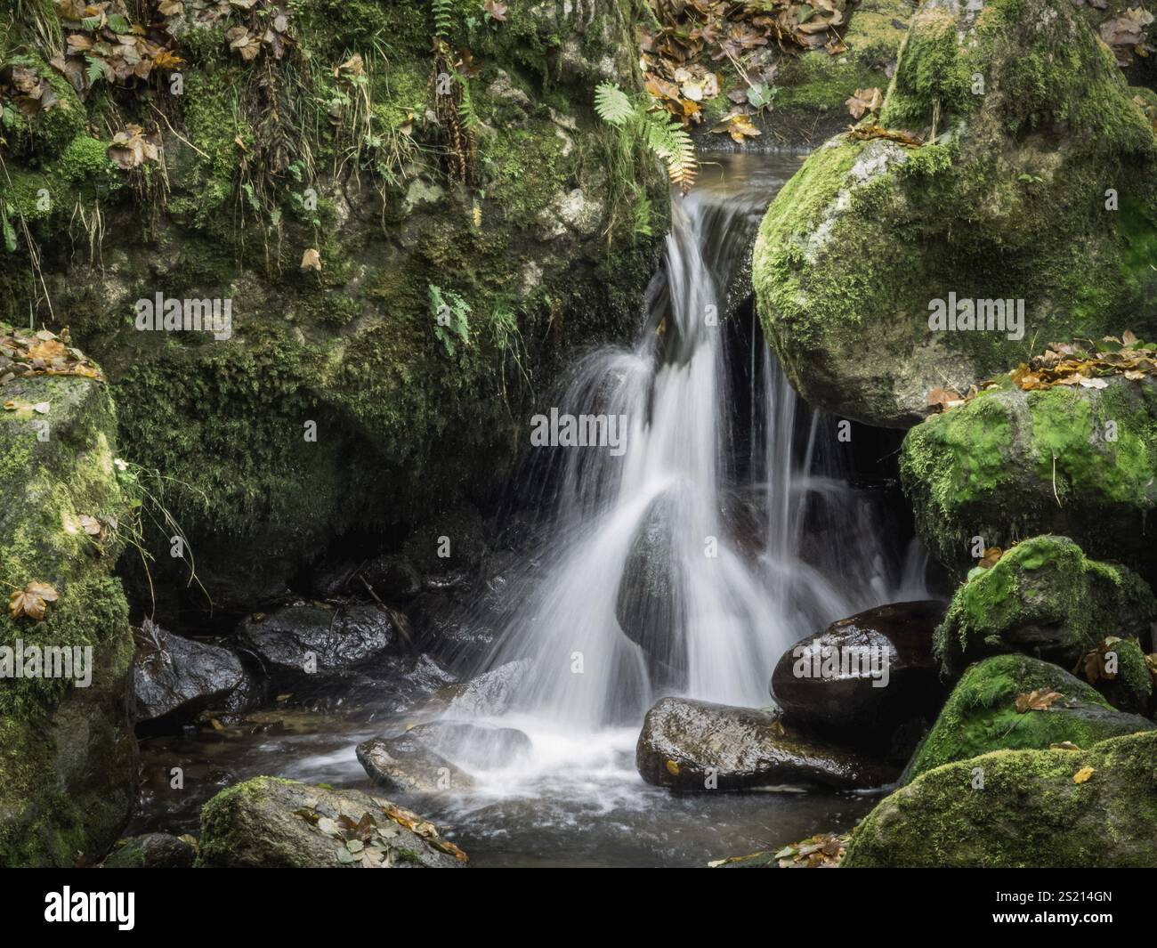 A stream with stones and flowing water. Experience the landscape in ...