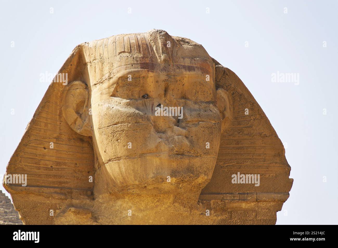 Highlight of a trip through Egypt: The Shpinx of Giza with the Chephren ...