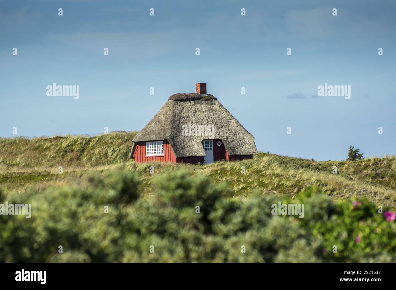 Beautiful views and details of Danish houses on the North Sea coast ...