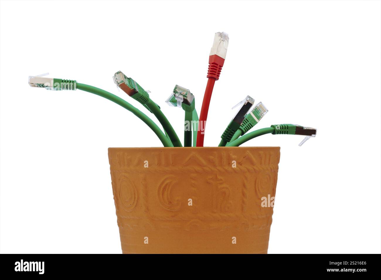 Various network cables in a flower pot. Symbolising broadband and ...