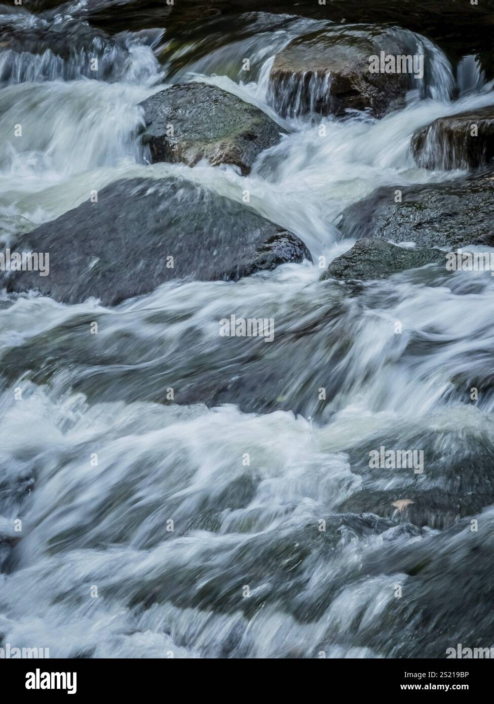 A stream with stones and flowing water. Experience the landscape in ...