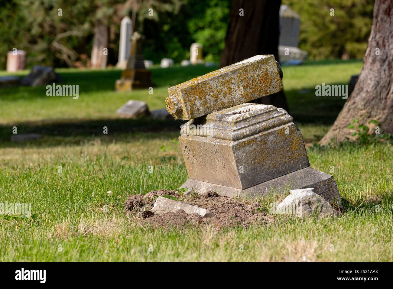 Graveyard headstone broken and damaged. Cemetery maintenance, grave ...