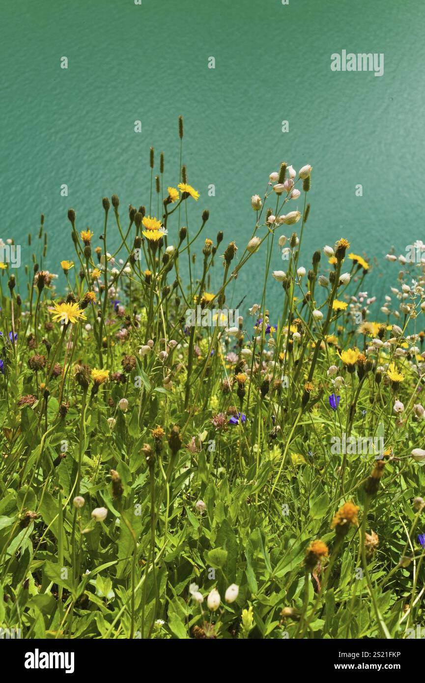 The reservoir for hydroelectric power generation in Malta, Carinthia ...