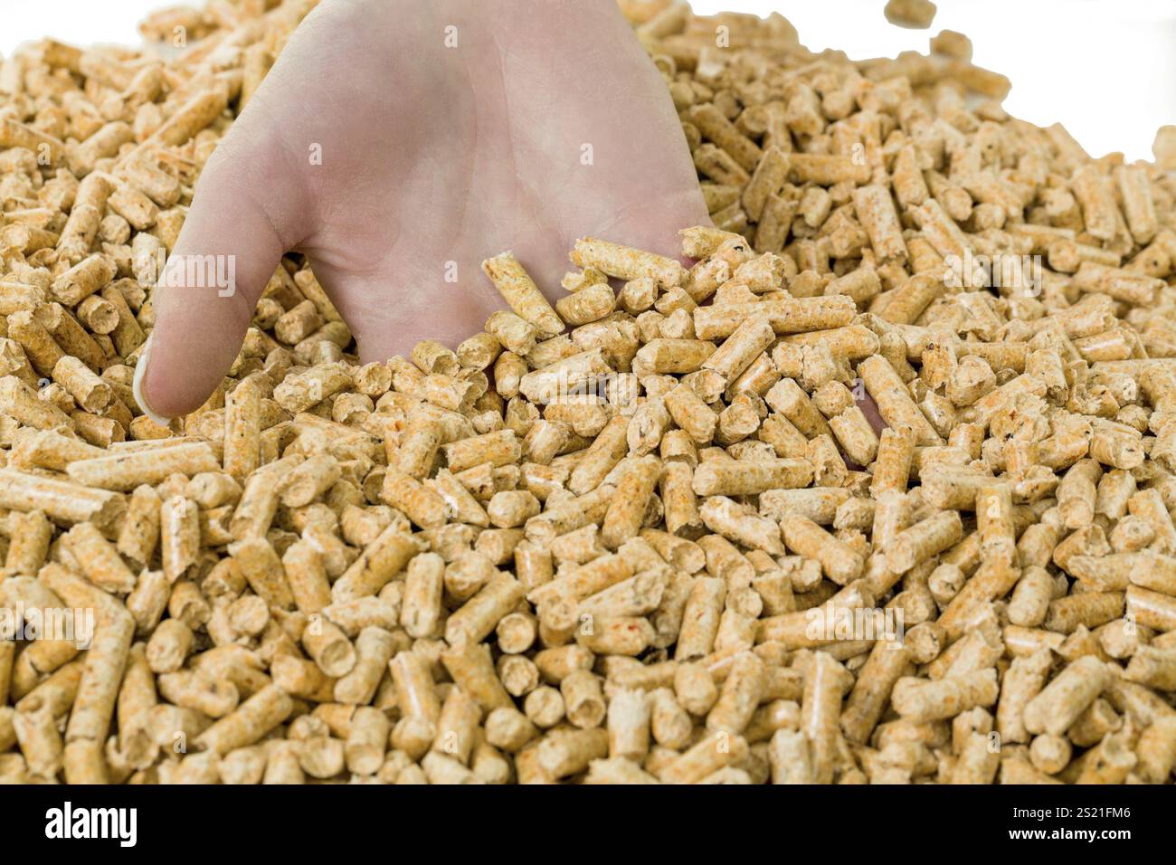 Hand with pellets as alternative energy. Against a white background ...