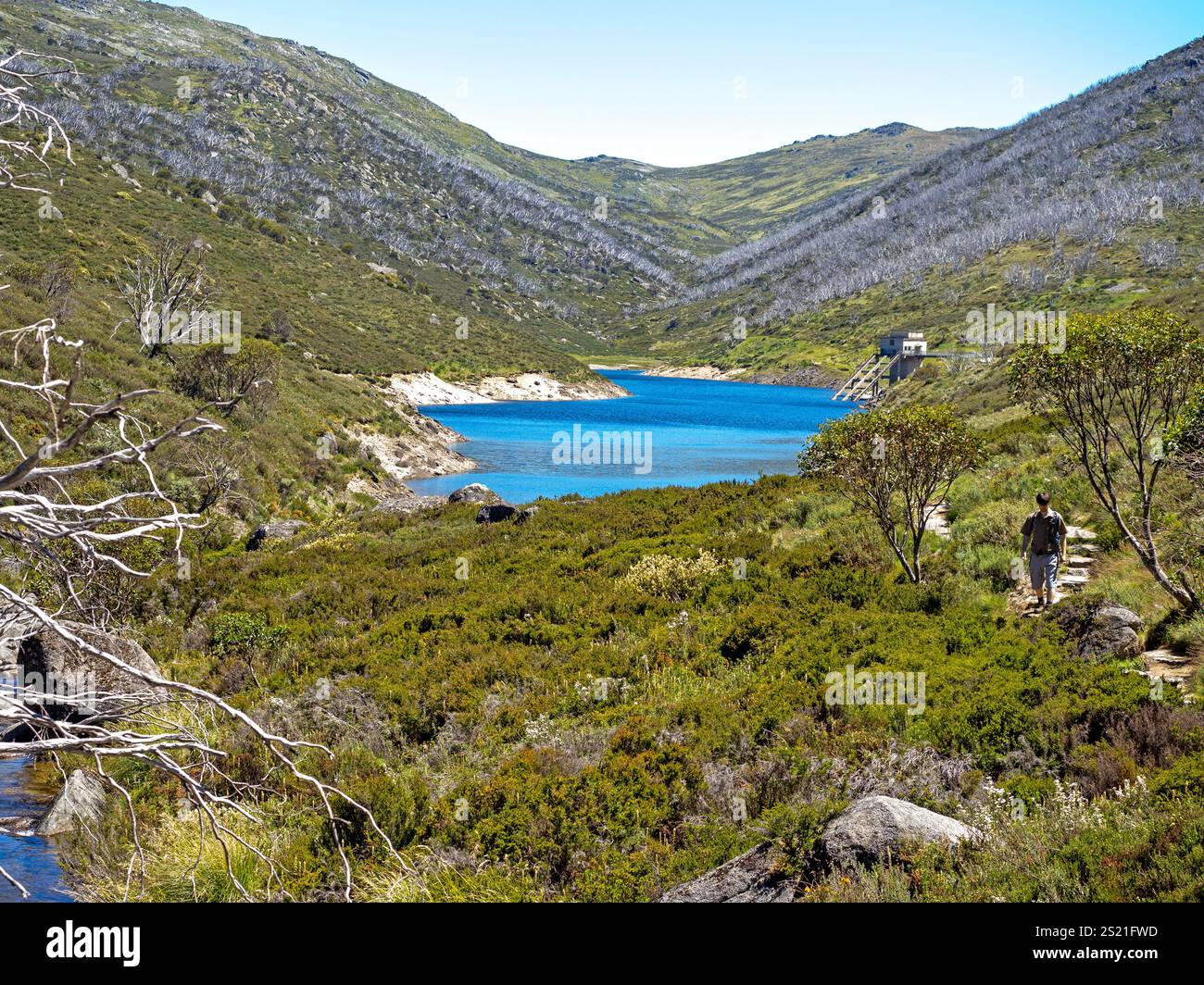 Hiker above Guthega Pondage on the Snowies Alpine Walk Stock Photo - Alamy