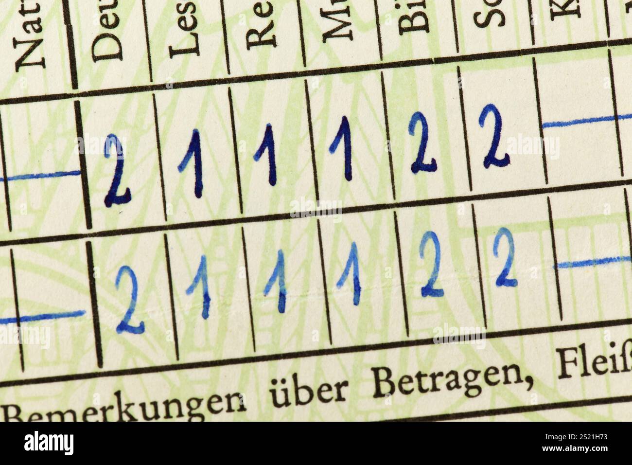 The report of a pupil in a school. Grading of performance. Austria ...