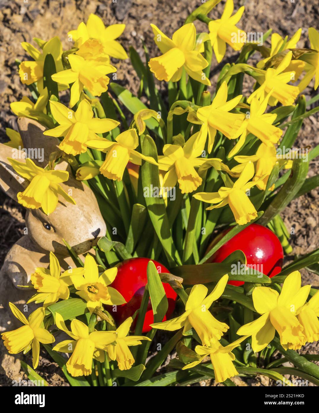 An Easter nest with Easter eggs and Easter bunnies was hidden in a ...