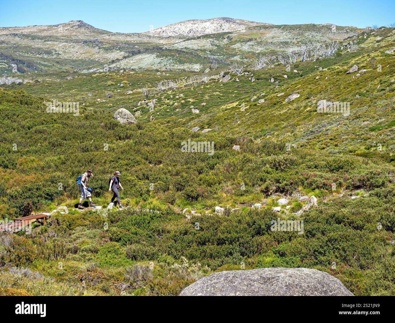 Hikers beneath Mt Twynam and Little Twynam on the Guthega to Charlotte ...