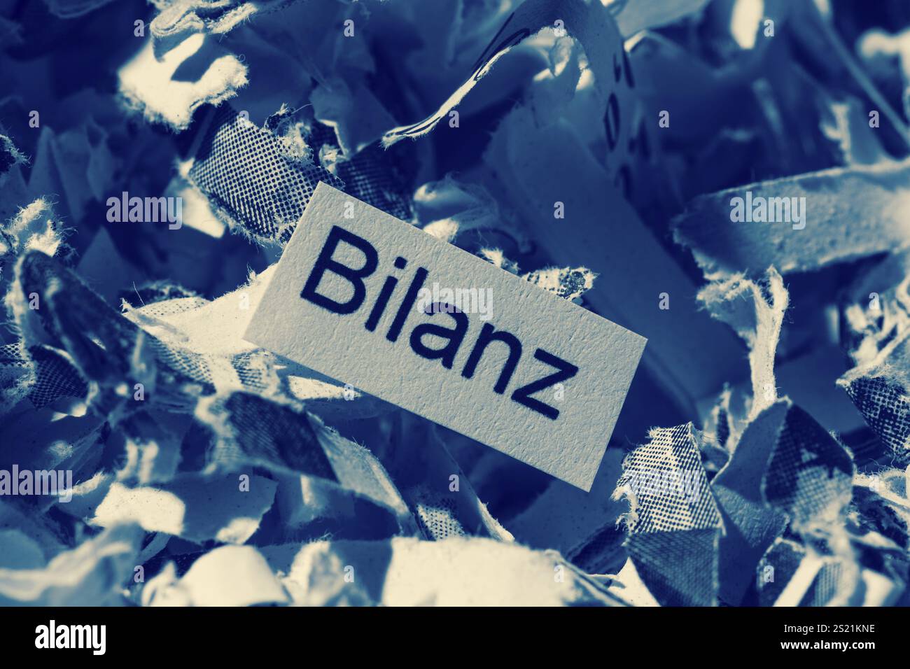 Paper shreds with keyword balance sheet, symbolic photo for data ...