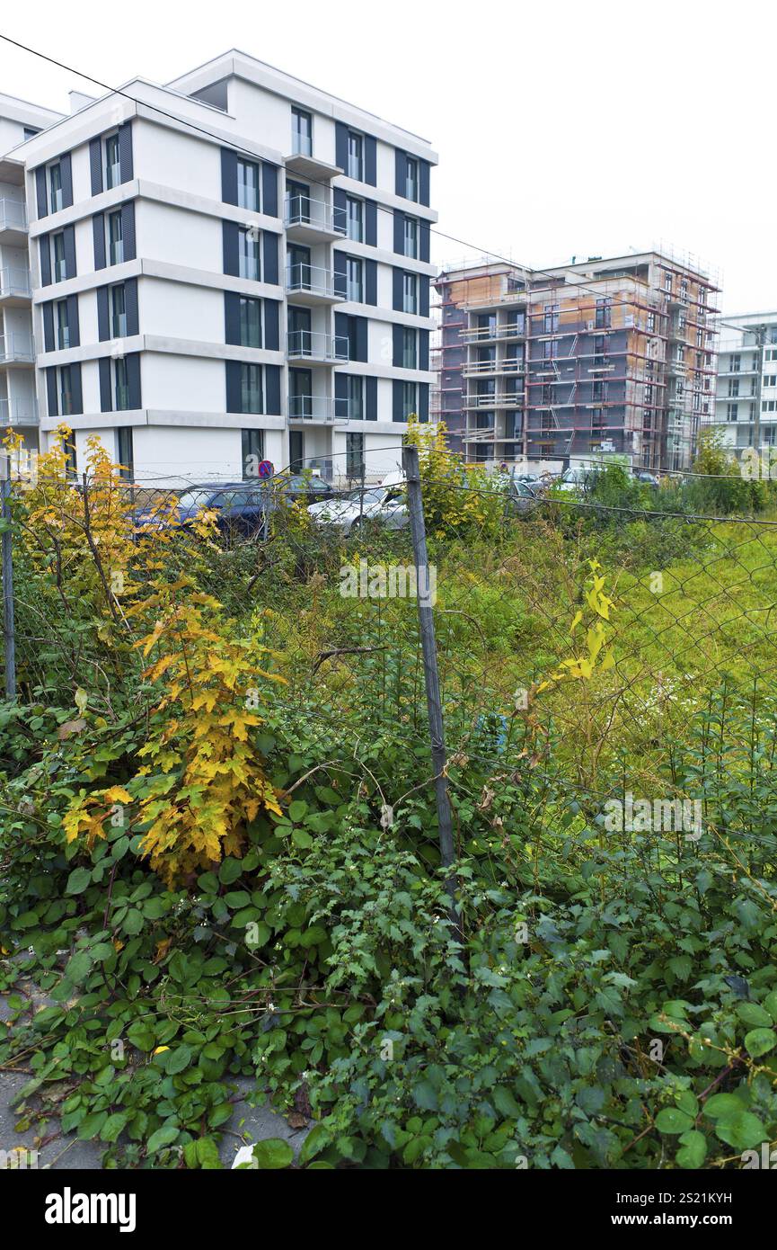 A gap between two houses in a town. Austria Stock Photo - Alamy