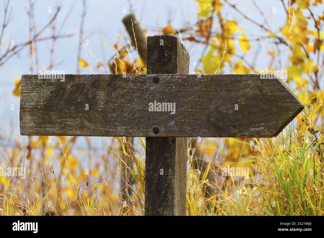 Old wooden signpost shows the way. Decision and orientation Austria ...