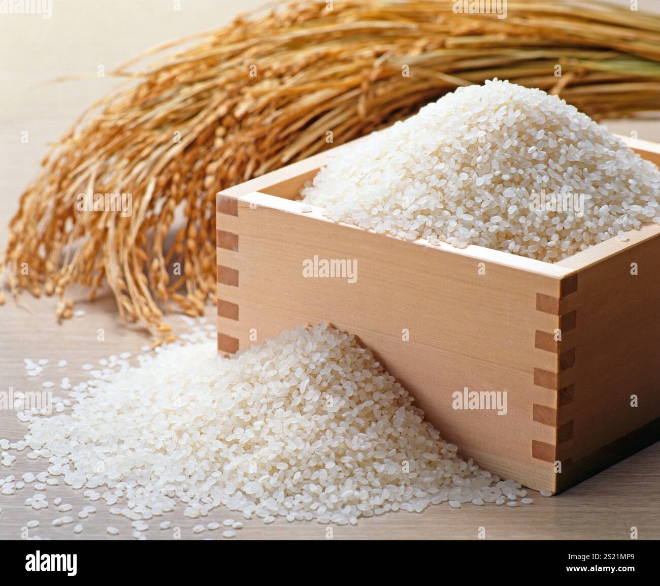 Image of rice Stock Photo - Alamy