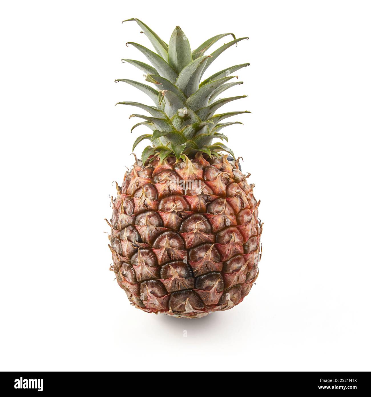 Touch soft Cut Out Stock Images & Pictures - Alamy