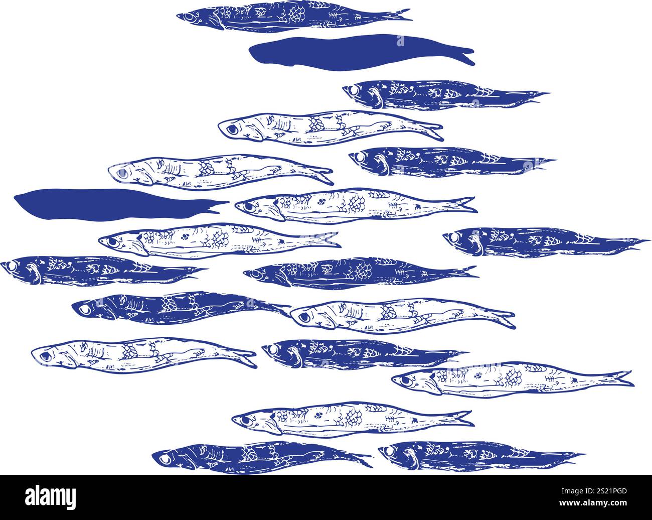 Hand Drawn Sardines illustration on white background Stock Vector Image ...