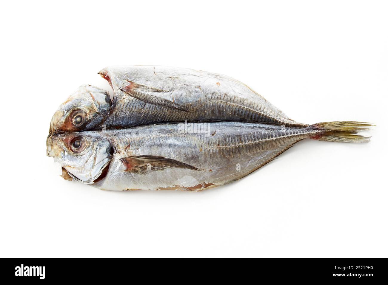 Horse mackerel (dried house mackerel Stock Photo - Alamy
