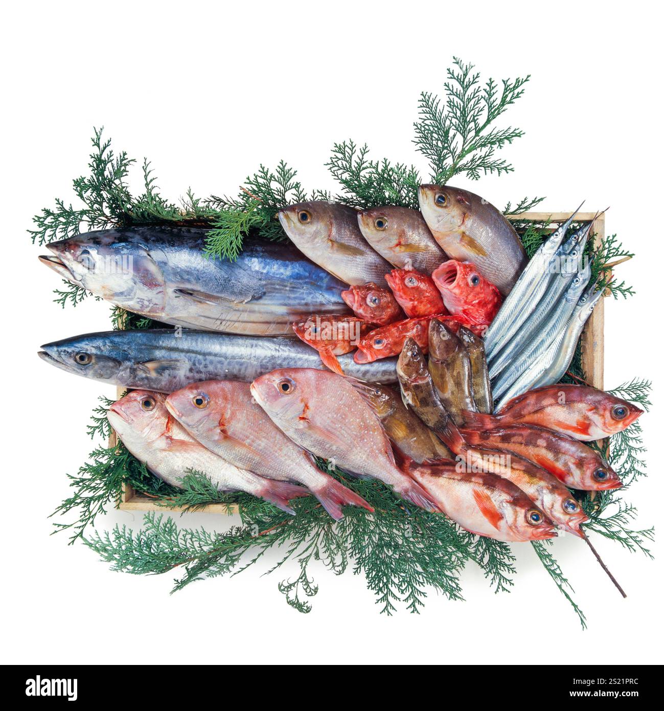 Fish landing Cut Out Stock Images & Pictures - Alamy