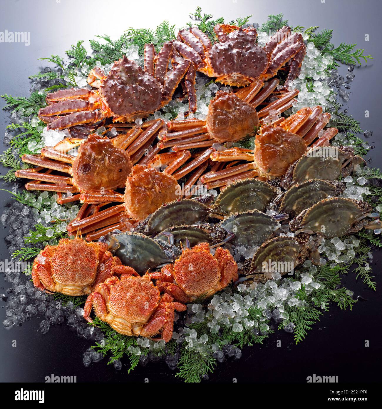Crustacean gathering hi-res stock photography and images - Alamy