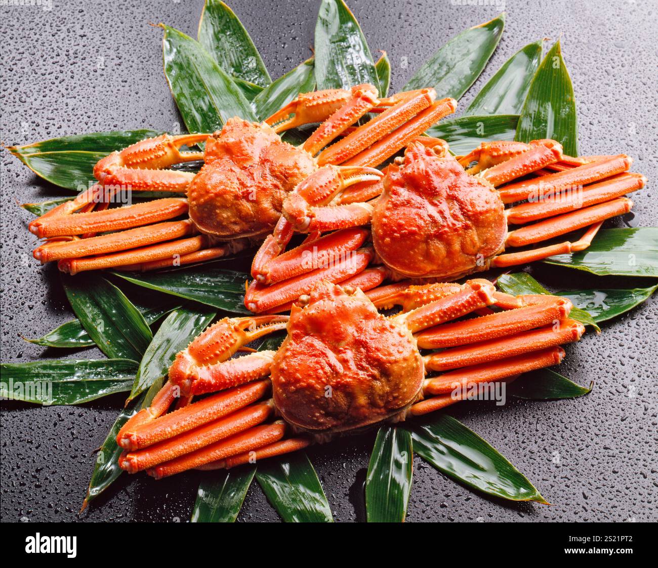 Three snow crabs Stock Photo - Alamy