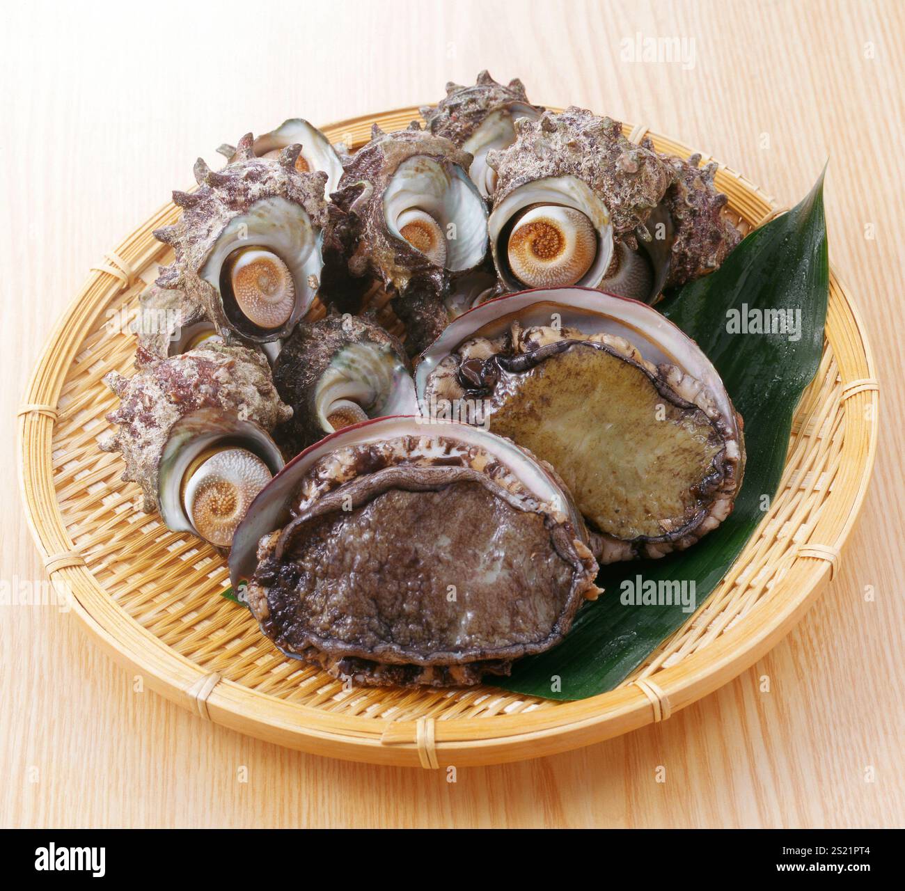 Abalone and turban shell Stock Photo - Alamy
