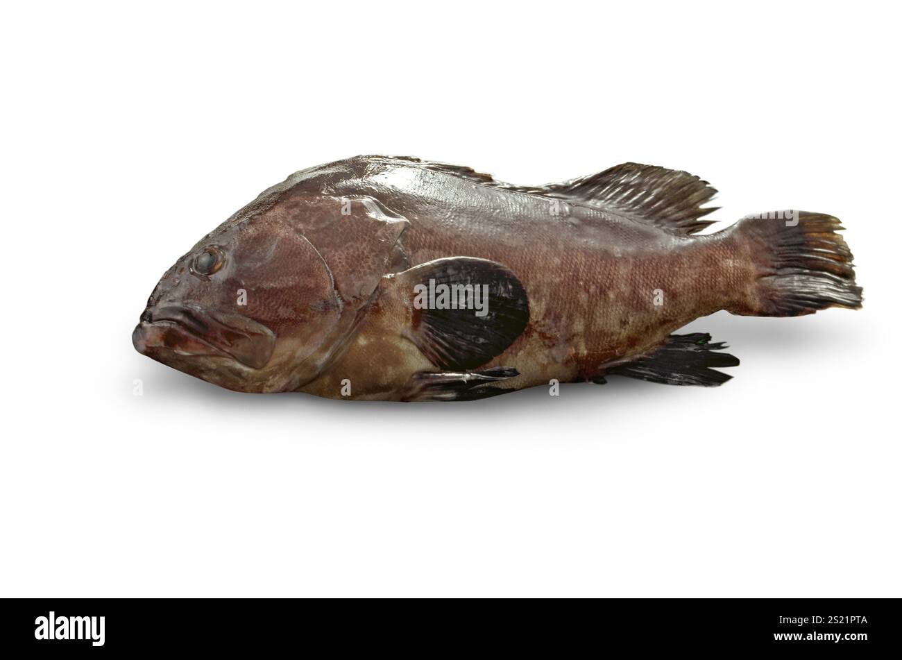 Que Que straight side Stock Photo - Alamy