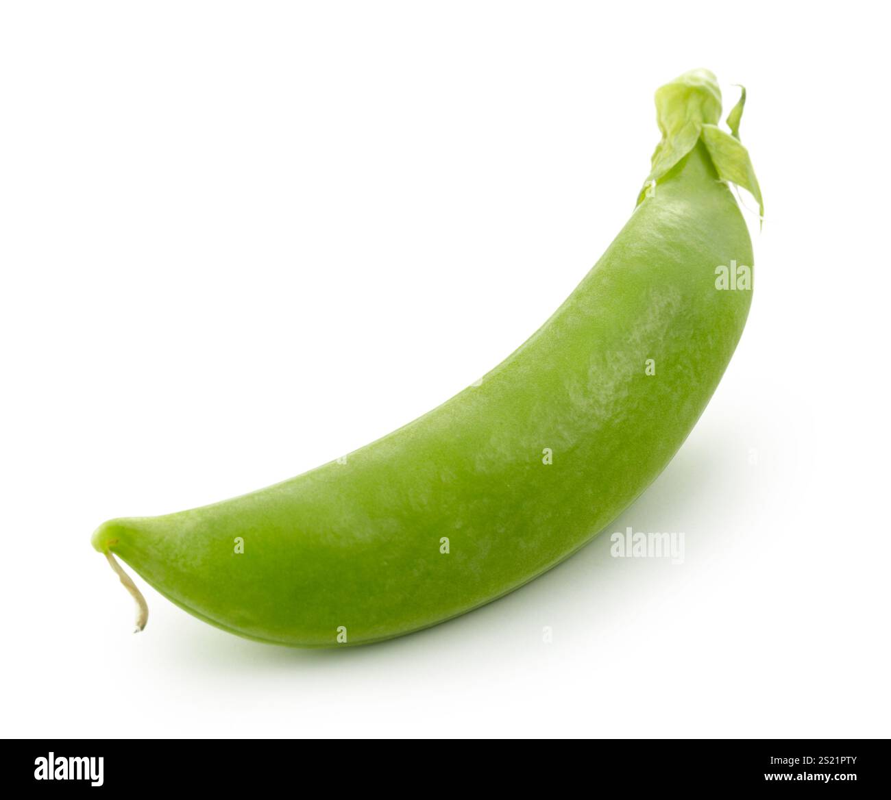 Snap back Cut Out Stock Images & Pictures - Alamy