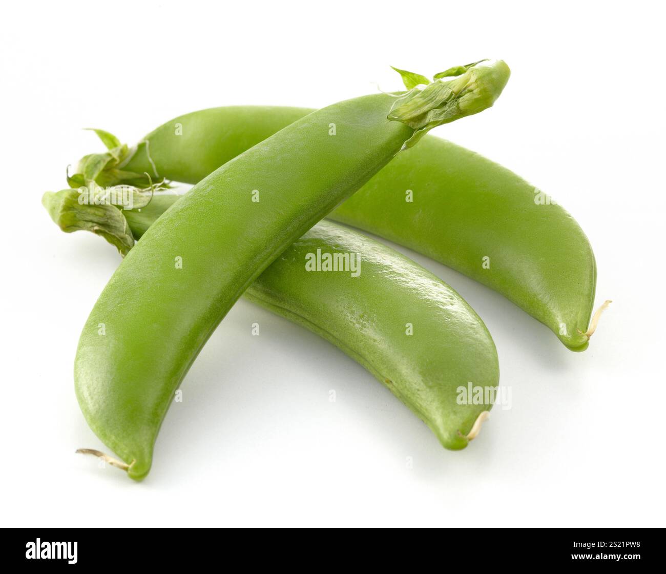 Snap back Cut Out Stock Images & Pictures - Alamy