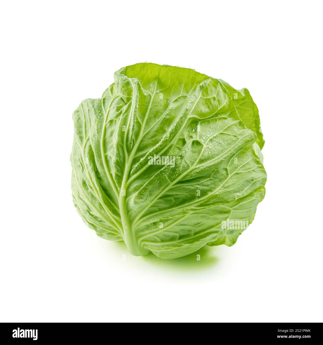 Spring drop Cut Out Stock Images & Pictures - Alamy