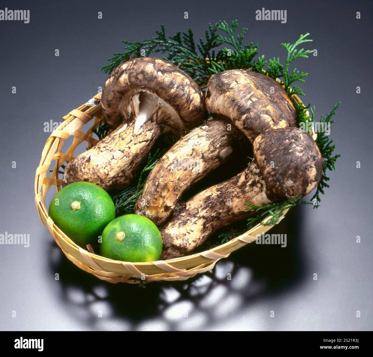 Gray green mushroom hi-res stock photography and images - Alamy