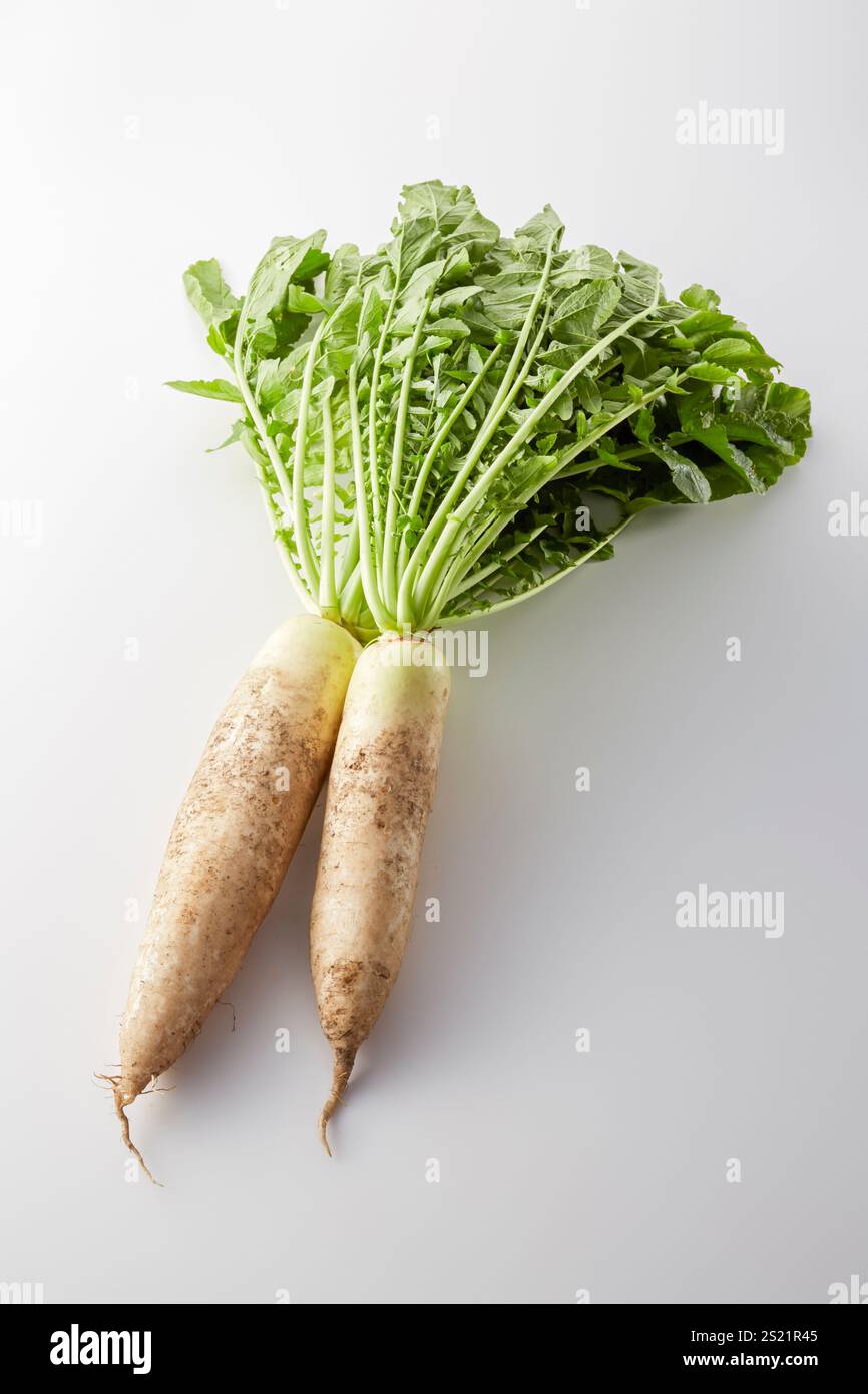 Freshly Caught Green Beaked Daikon Radish Stock Photo - Alamy