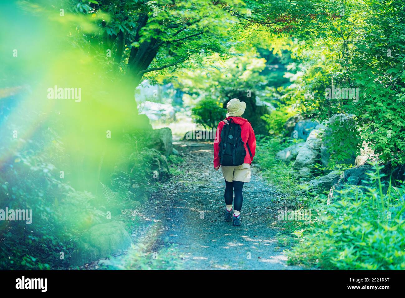 Back view of woman climbing a mountain Stock Photo - Alamy