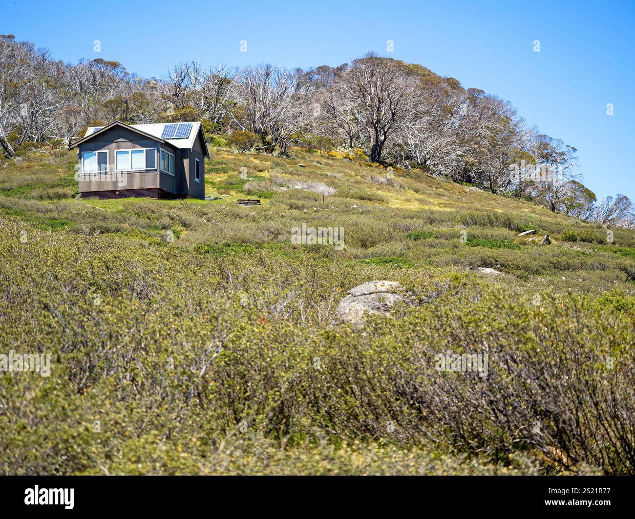 Illawong hi-res stock photography and images - Alamy