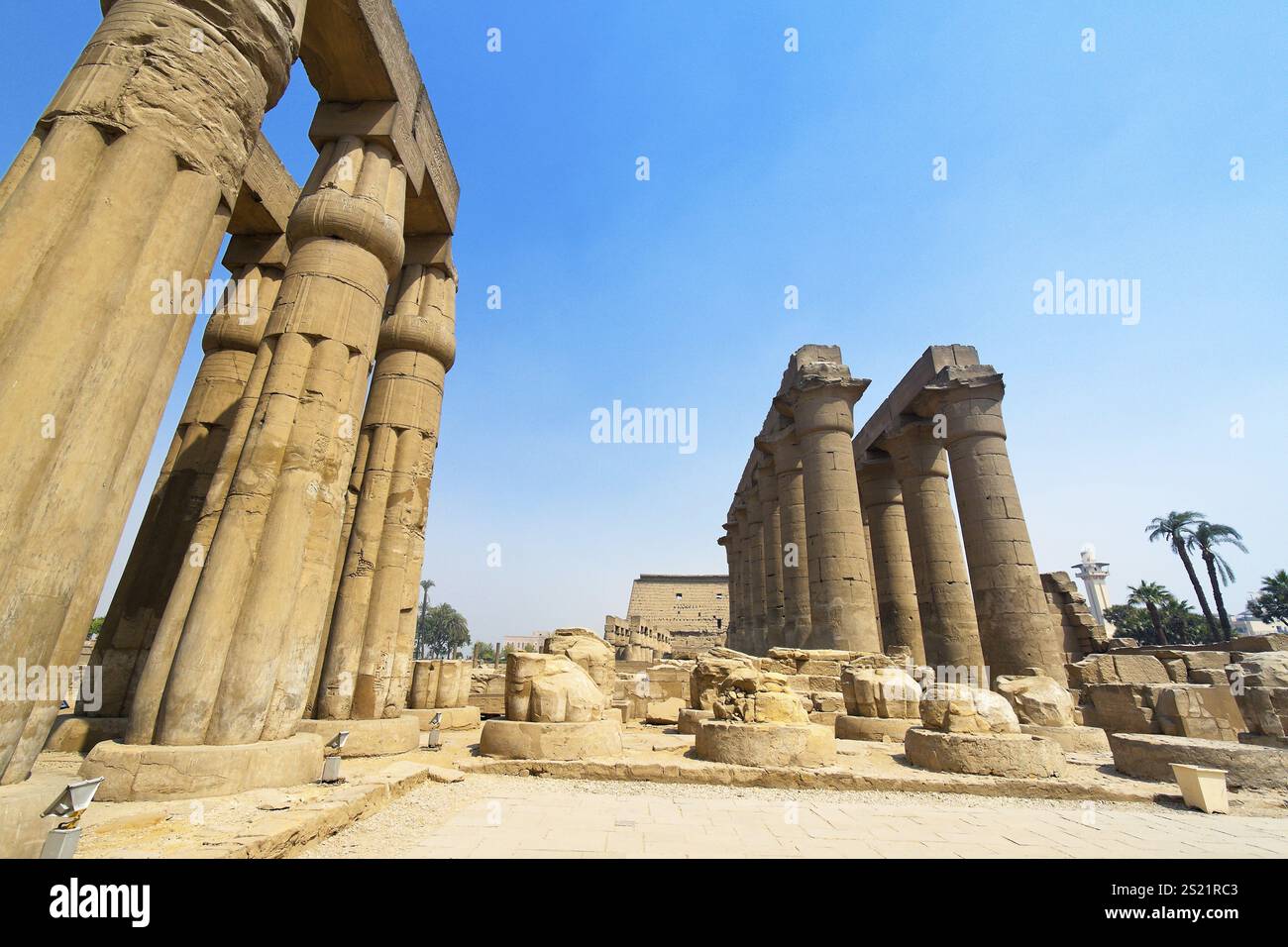 Africa, Egypt, Luxor, Amun Temple of Luxor. One of the landmarks of ...