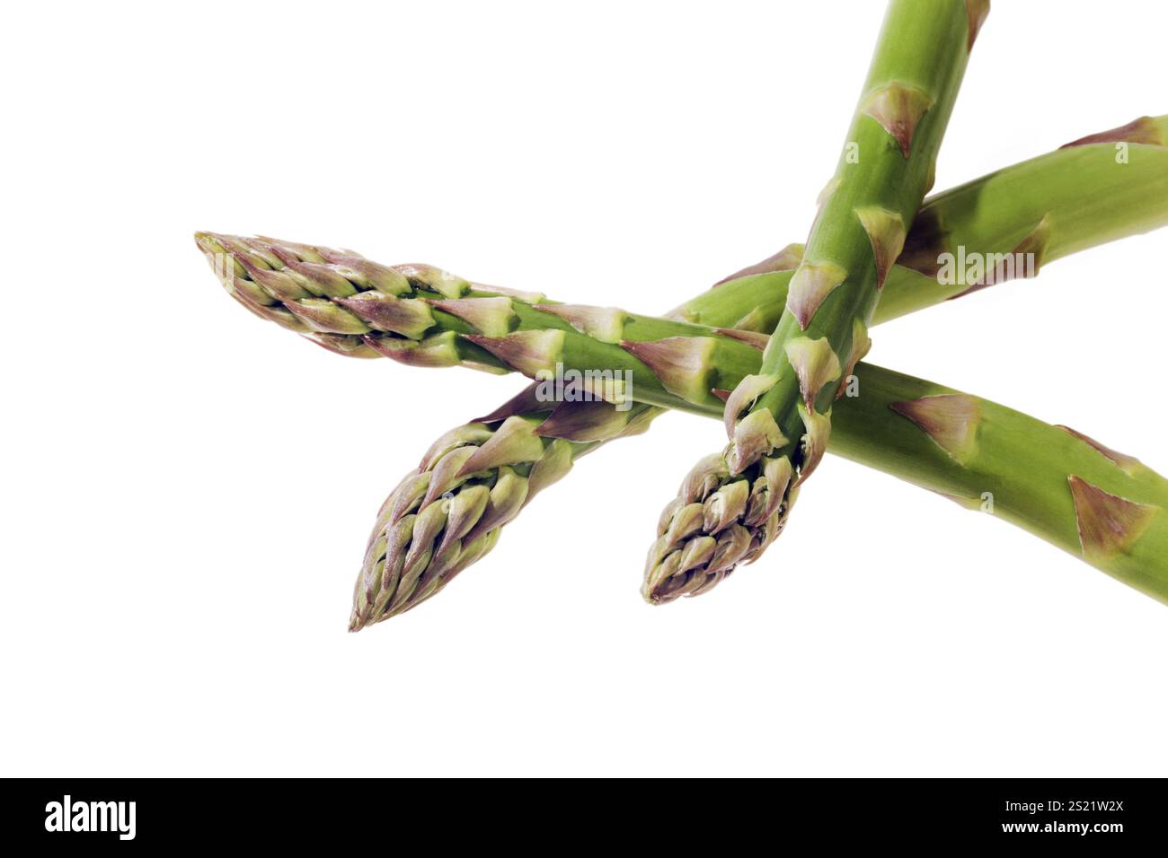 Season in austria Cut Out Stock Images & Pictures - Alamy