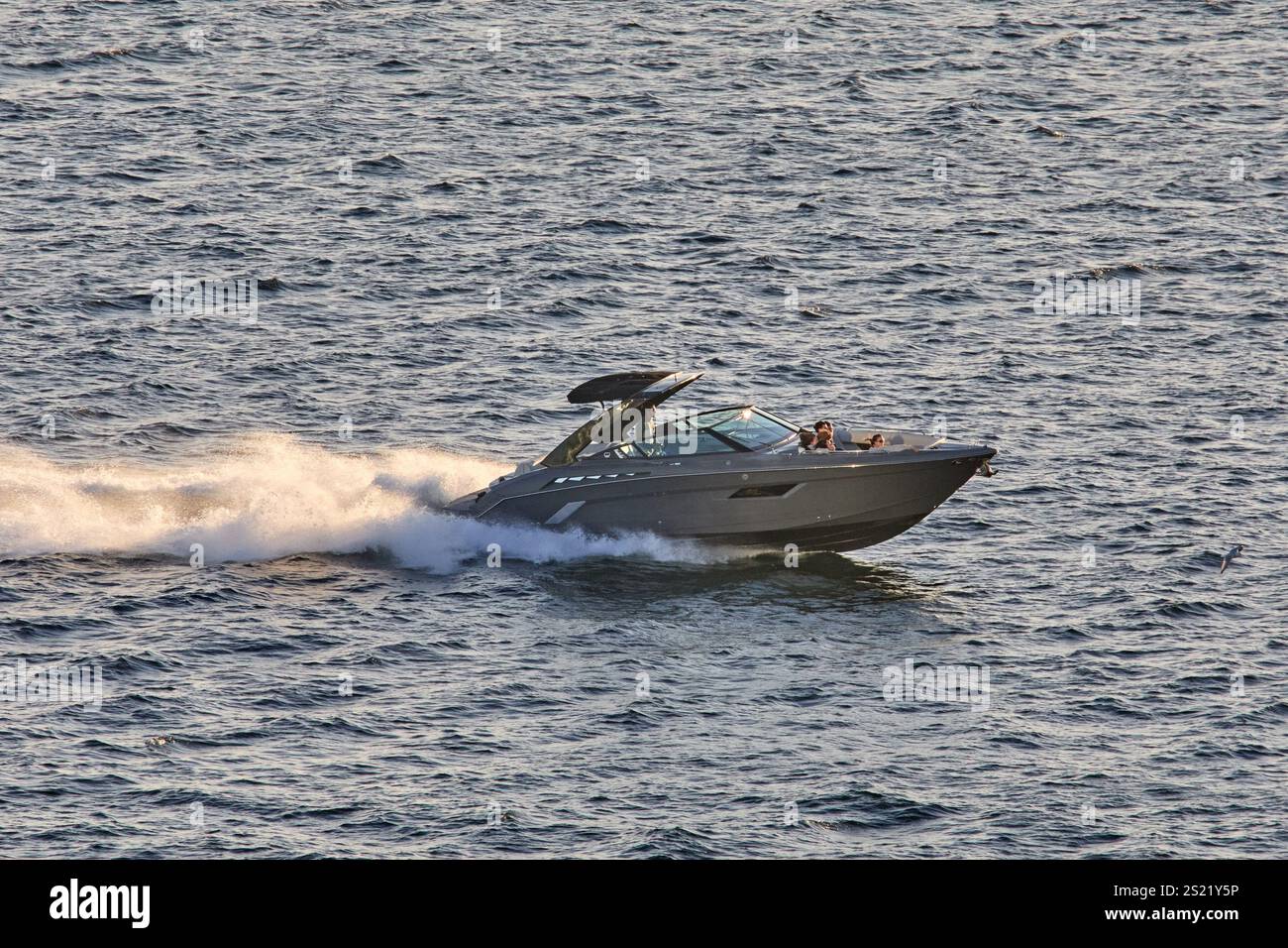 San Diego, California, USA. 21st Dec, 2024. A sleek speedboat glides ...