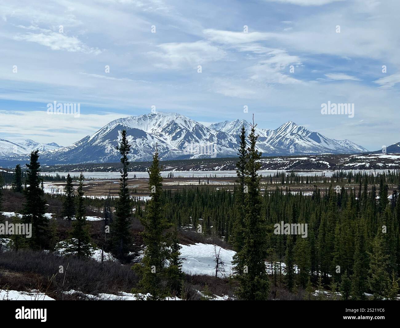 Snow on the ground during the spring thaw along the Denali Highway in ...