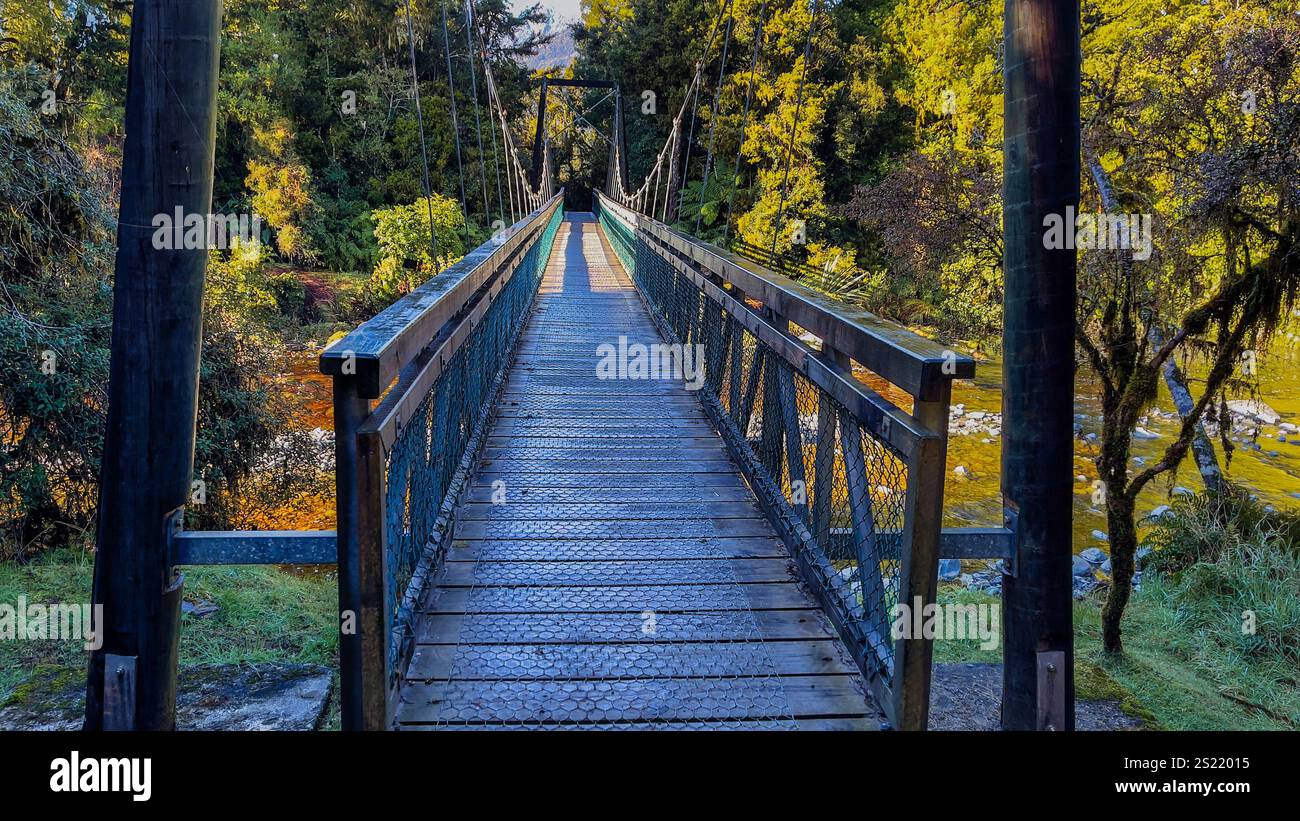 Hiking through lush native bush pedestrian footpath around the lakeside ...