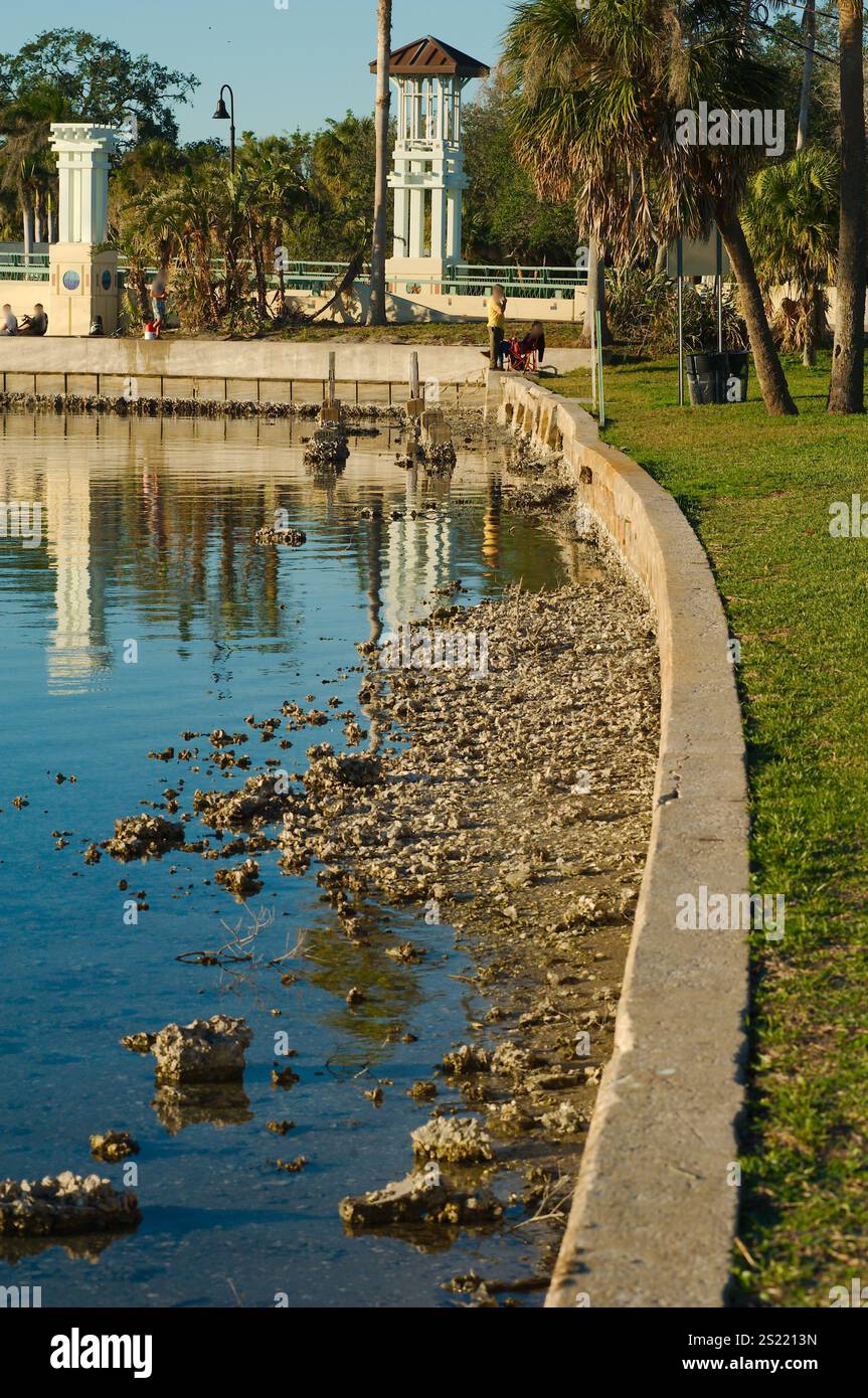 Vertical View north from Sunset Park in Saint Petersburg, Florida with ...