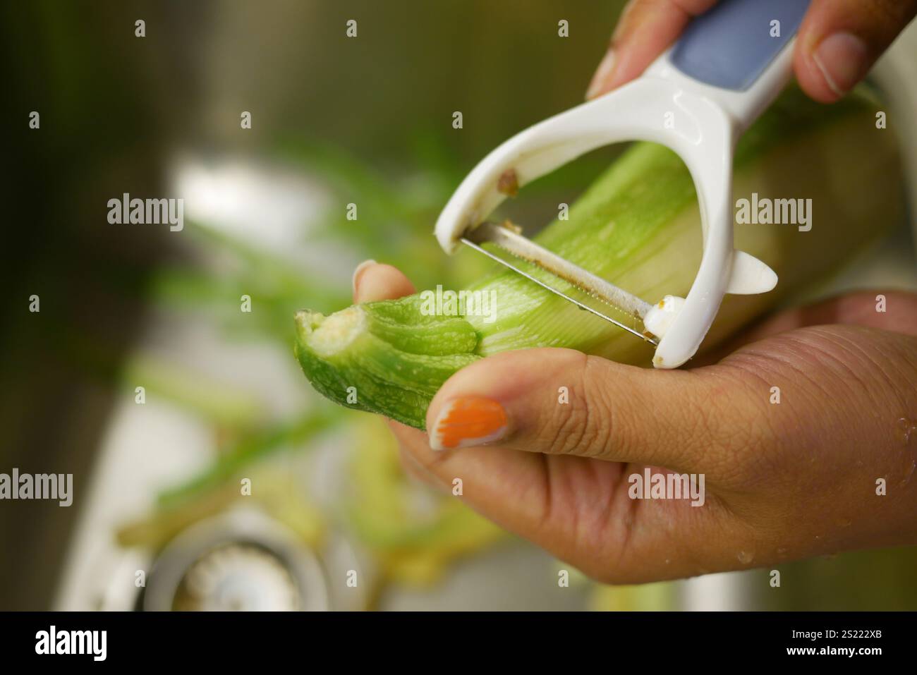 Preparing Fresh Ingredients The Comprehensive Cucumber Peeling Process ...