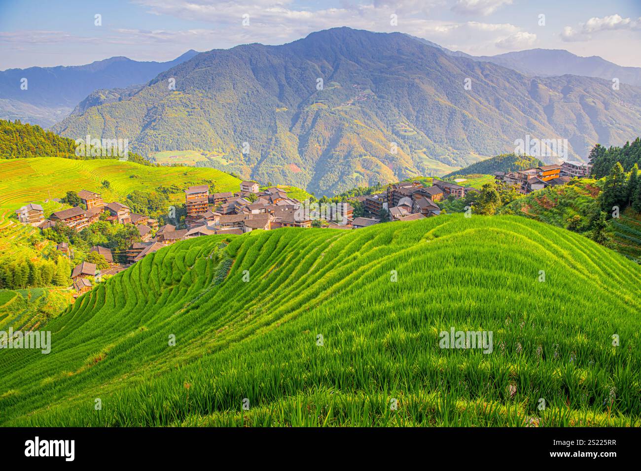 Longji rice terraces during summertime, Guilin, China, green color of ...